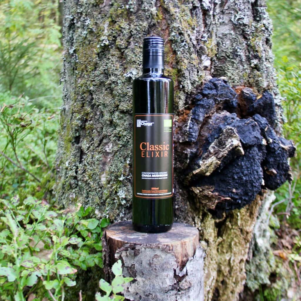 Bio čaga – elixír 500 ml | FREYA – zdravý obchod